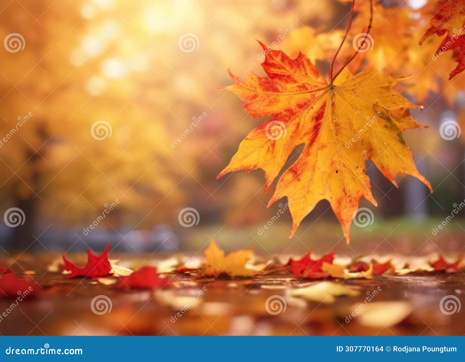 Default 8k Falling Maple Leaf Background Stock Illustration ...