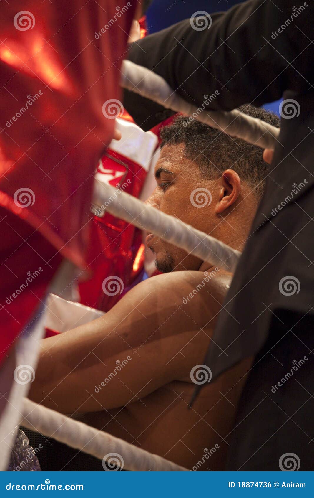 Defeated boxer editorial photo. Image of knocked, fight - 18874736