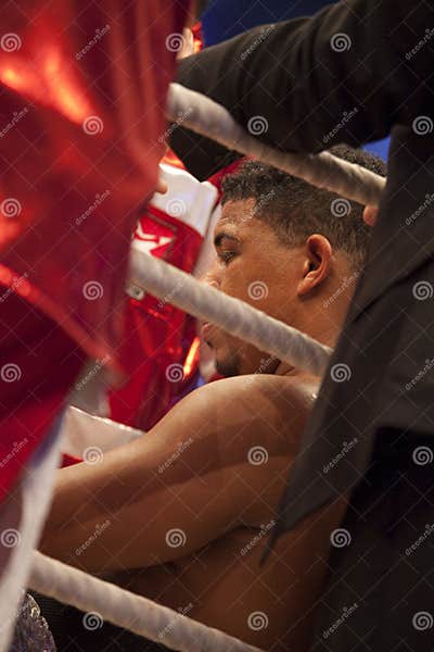 Defeated boxer editorial photo. Image of knocked, fight - 18874736