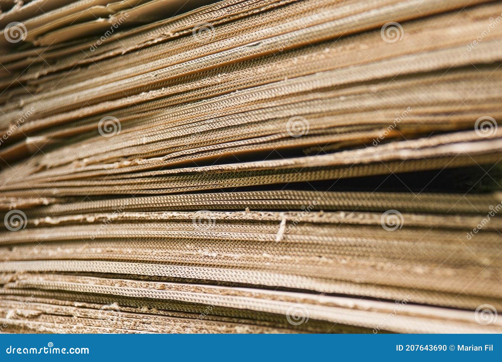 Defective Leaves of Corrugated Cardboard are One on One Stock Photo ...