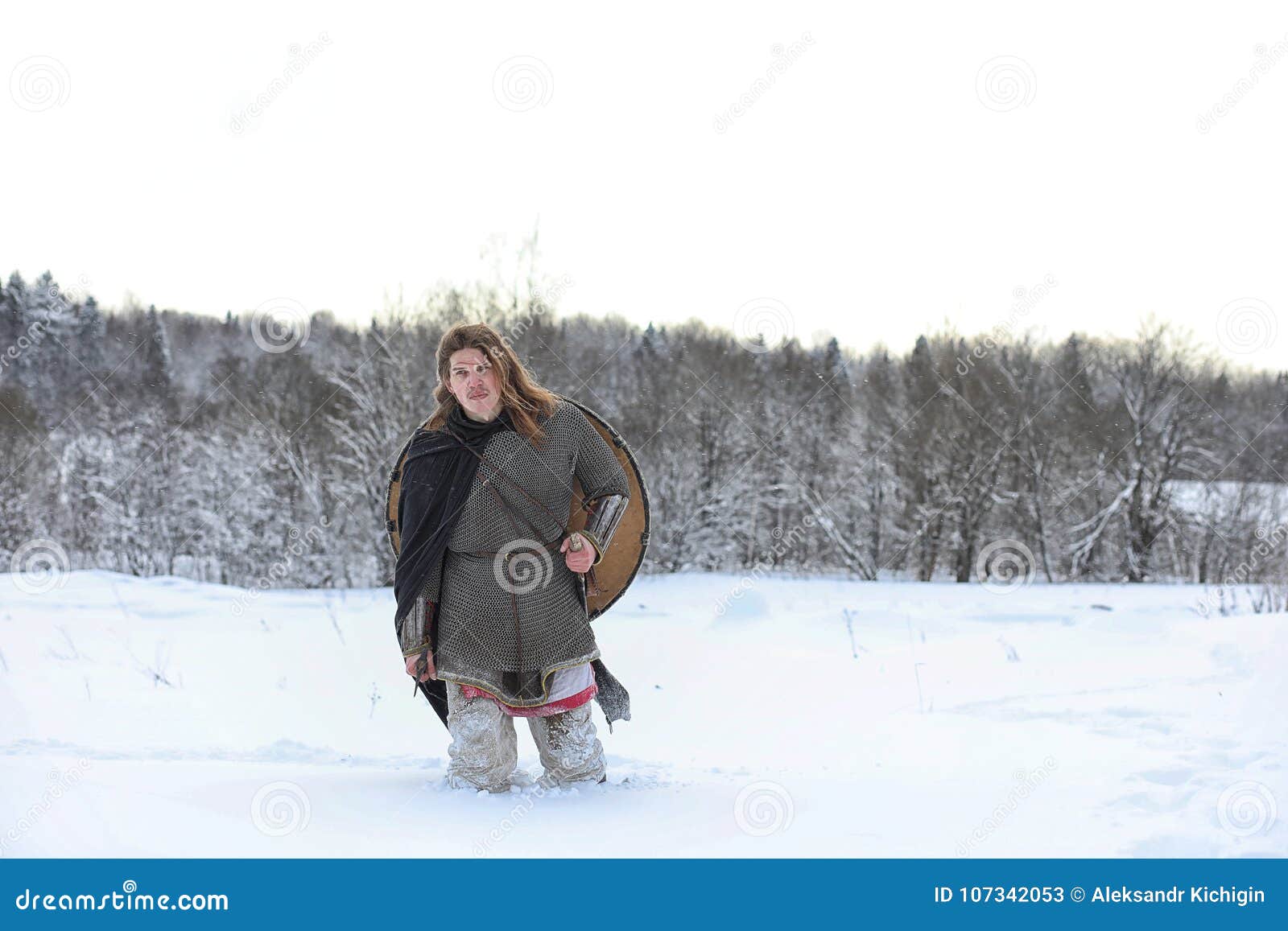 Defender the Young Warrior in Mail Armor Stock Image - Image of armed ...