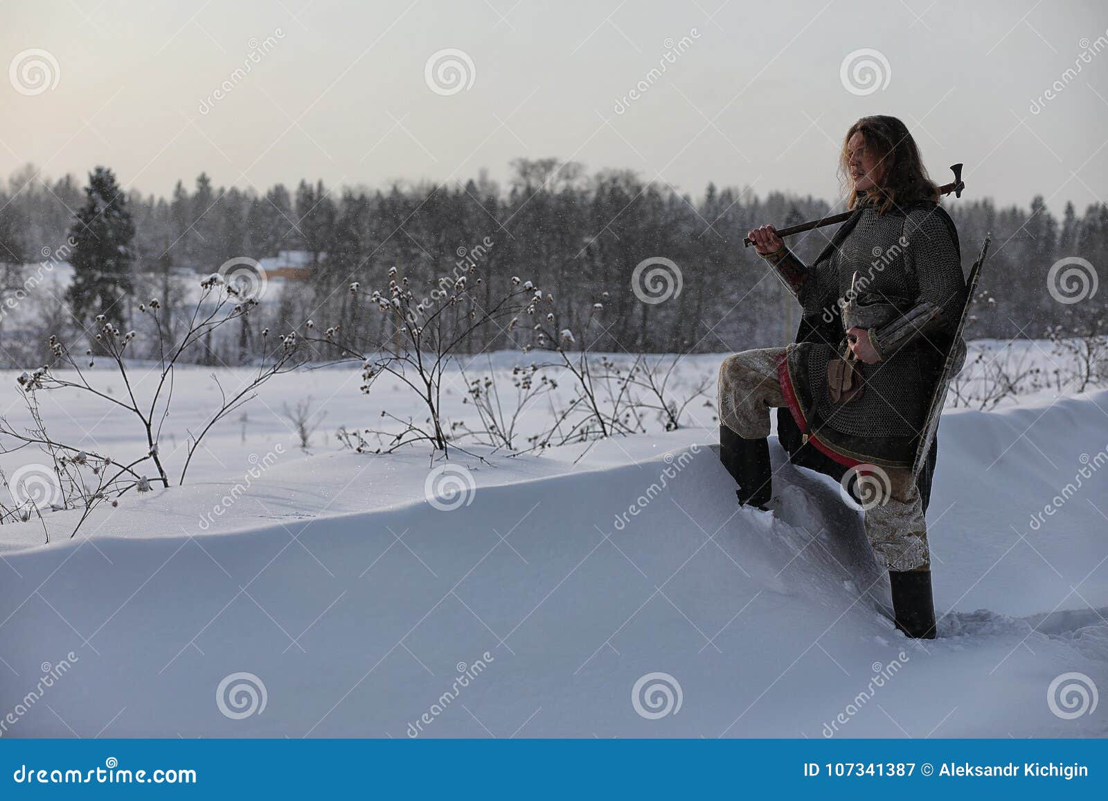 Defender the Young Warrior in Mail Armor Stock Image - Image of history ...