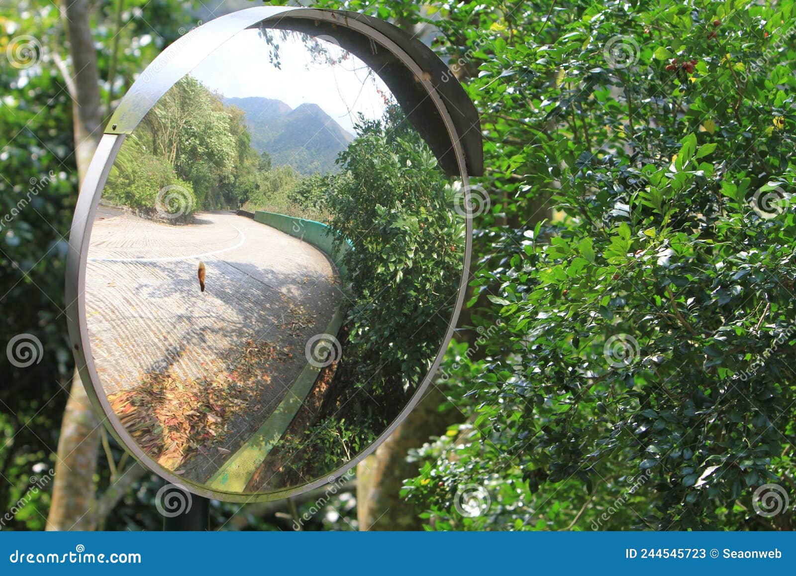 A Defensive Driving Mirror at the Nature Road Stock Image - Image of ...