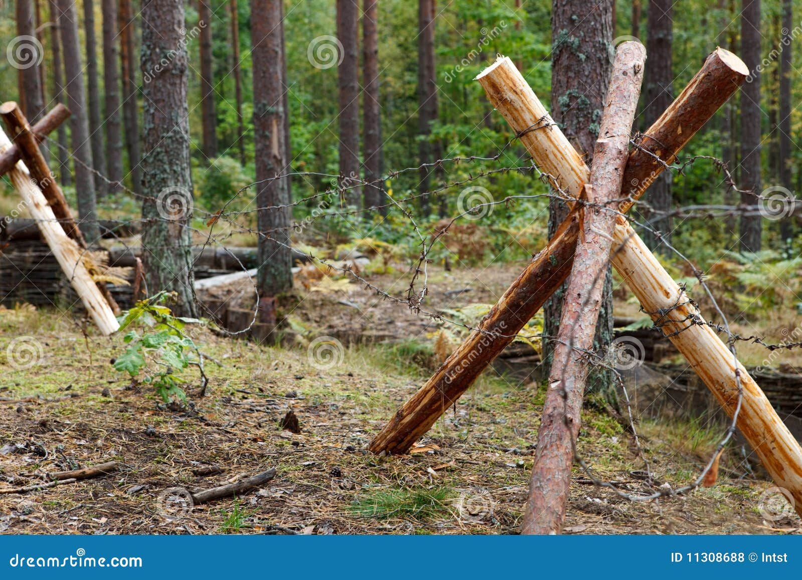 Defensive Trench In Forest Royalty-Free Stock Photography ...