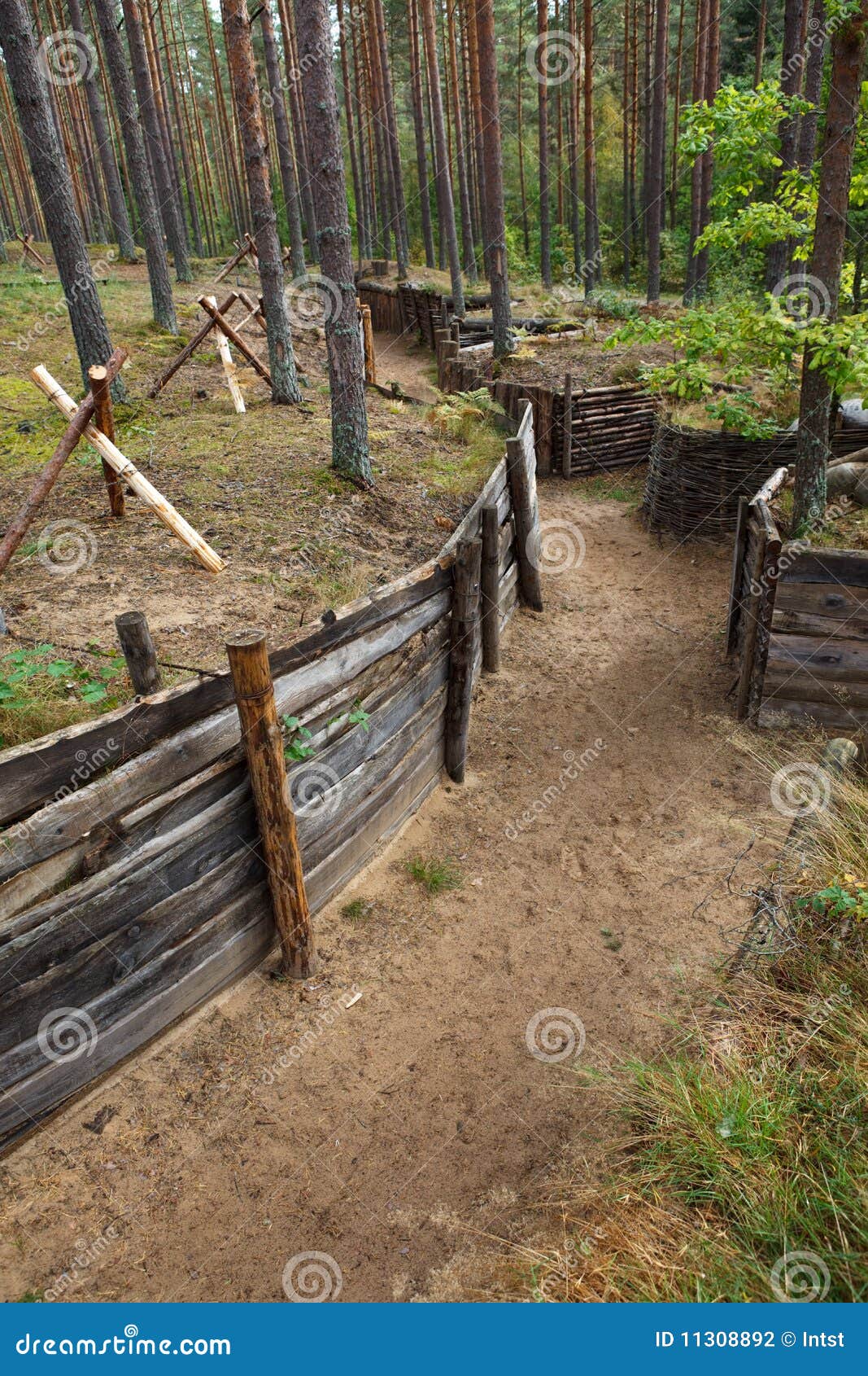 Defensive trench in forest stock photo. Image of battle - 11308892