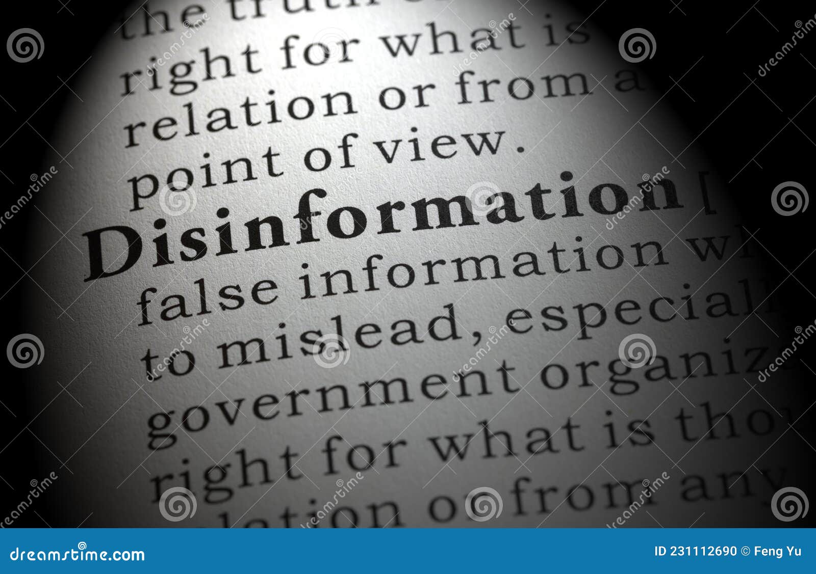 Definition of Disinformation Stock Photo - Image of white, printing ...