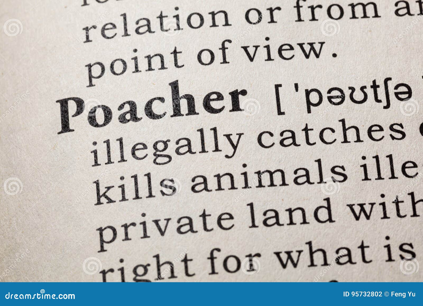 Definition of poacher stock photo. Image of definition - 95732802