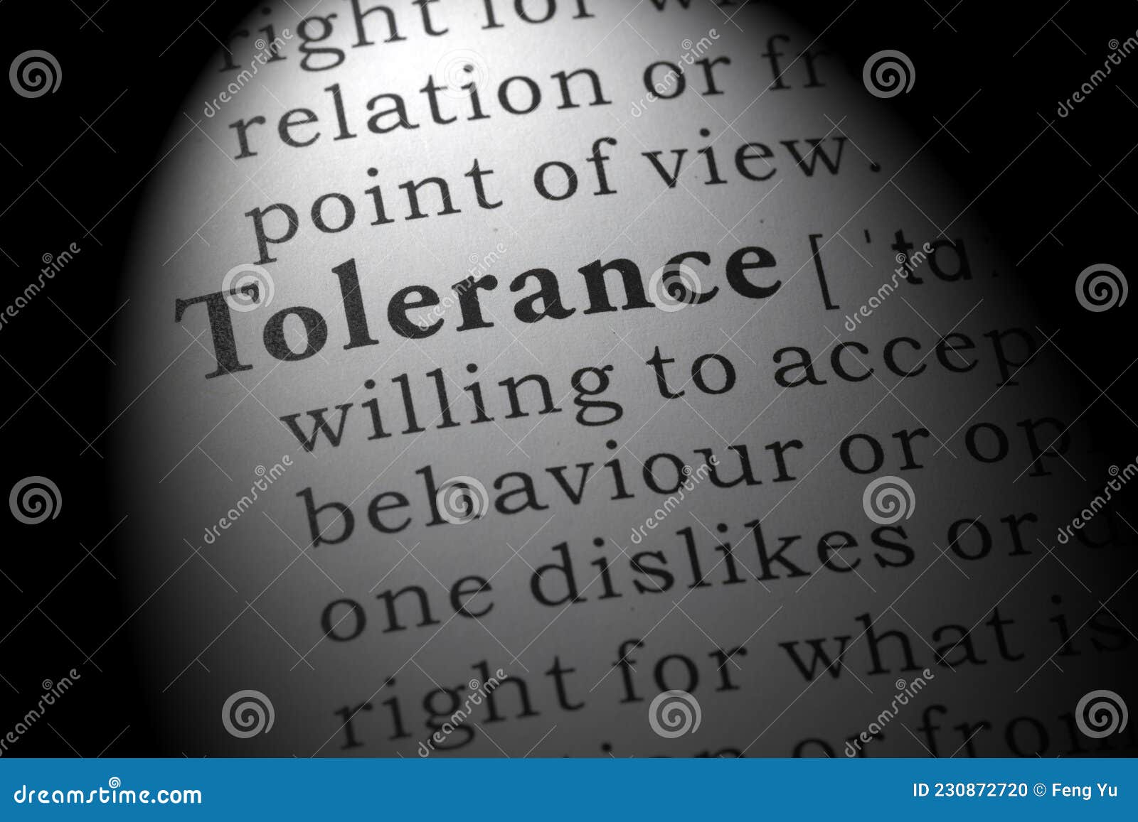 Definition of tolerance stock photo. Image of closeup - 230872720