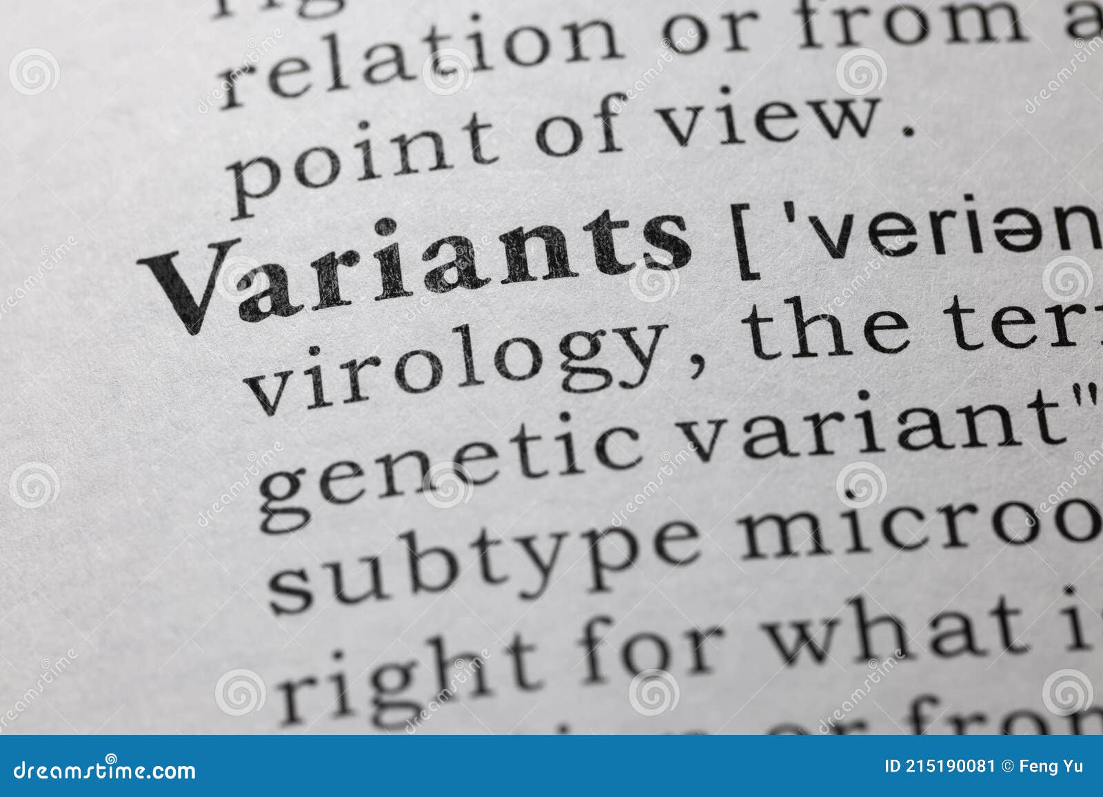 Definition of variants stock image. Image of printing - 215190081