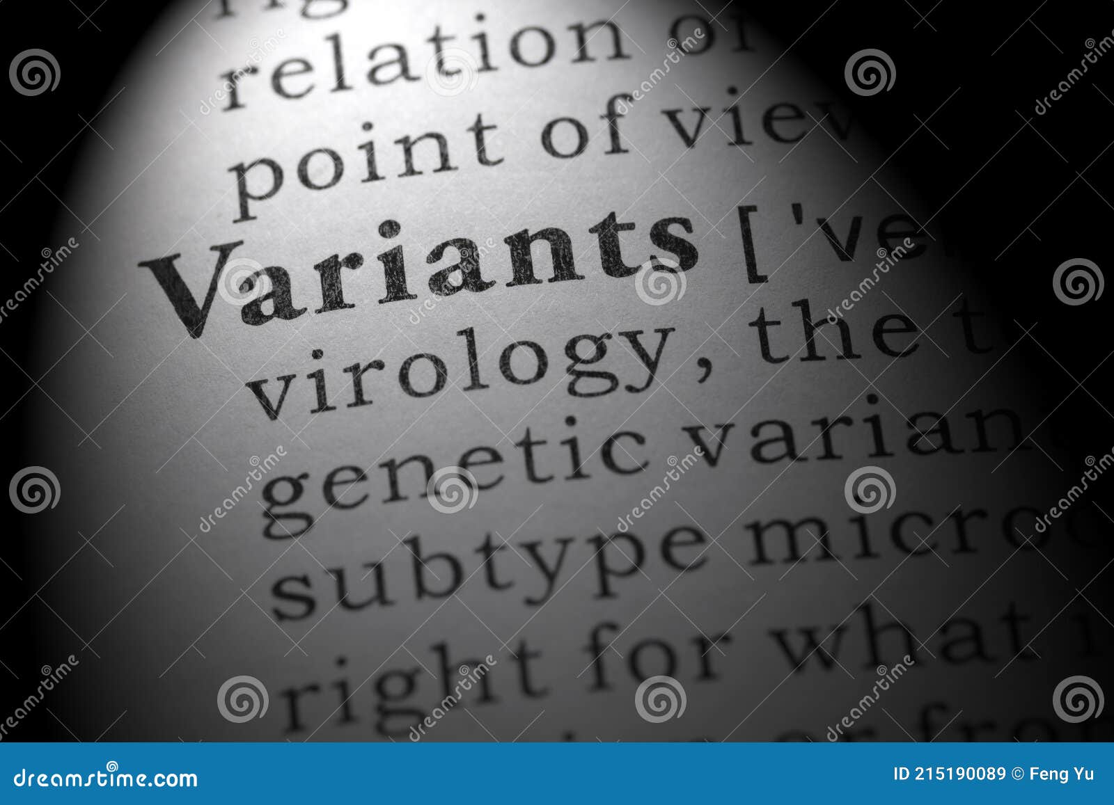 Definition of variants stock image. Image of page, dictionary - 215190089
