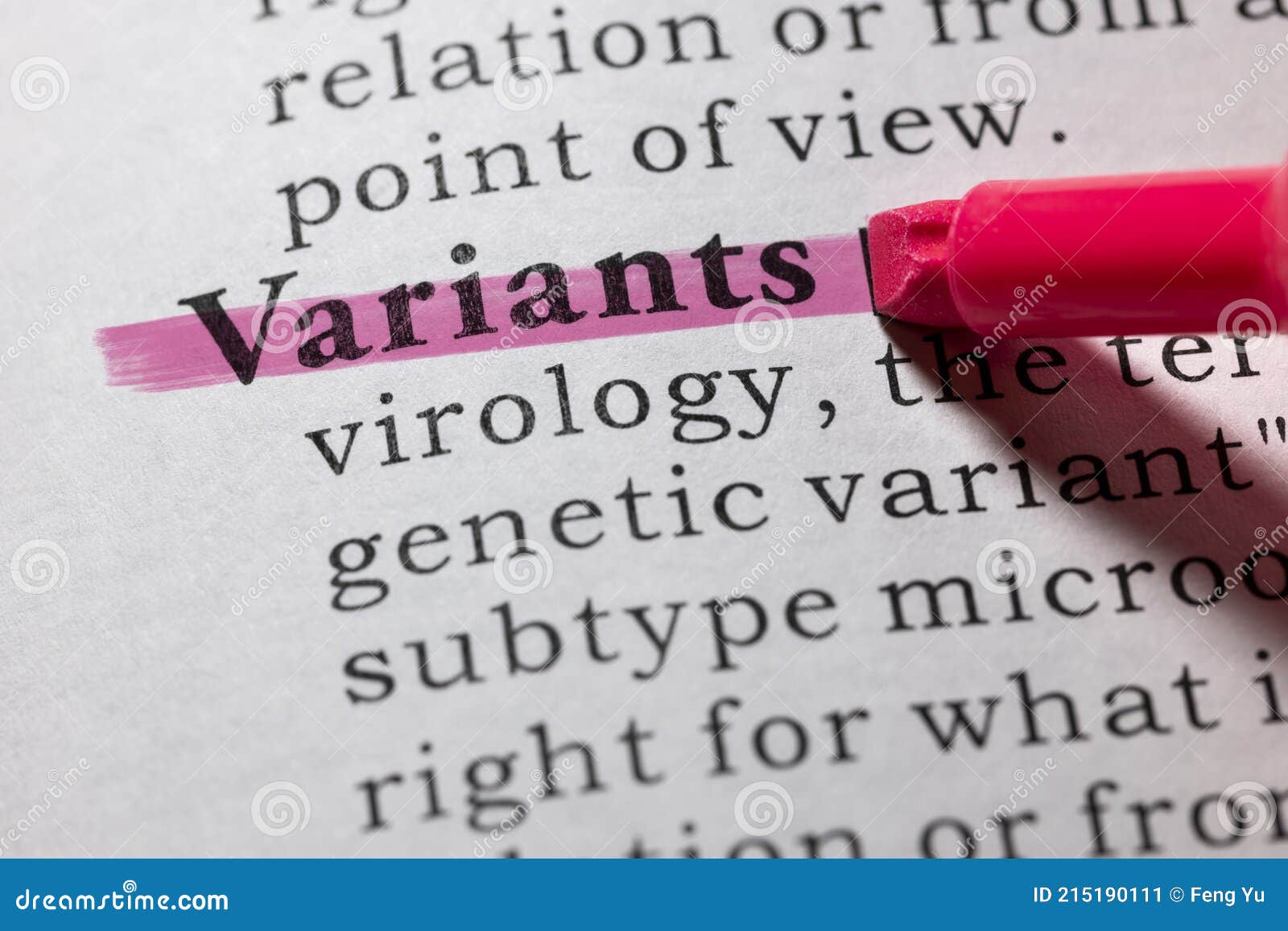 Definition Of Variants Royalty-Free Stock Photo | CartoonDealer.com ...