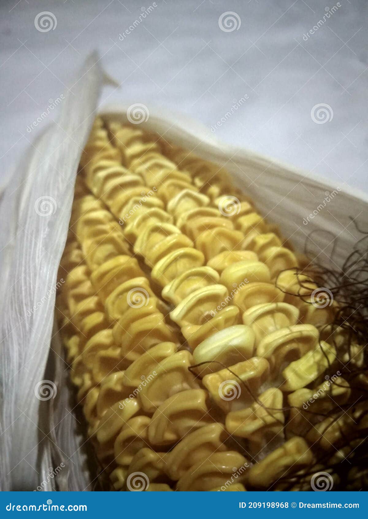 Royalty Free Images, Cartoons, Illustrations And Photos Designed By ...