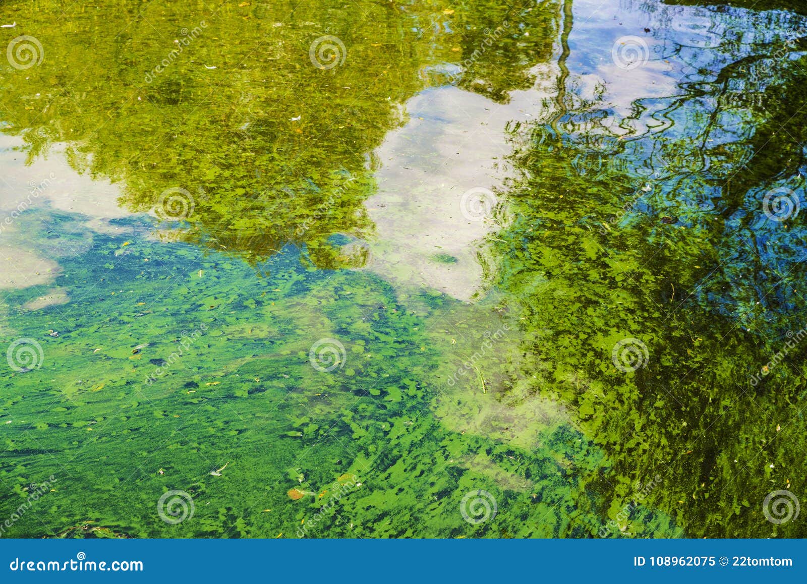 Deflected Reflections of Trees on the Water As Abstract Background ...