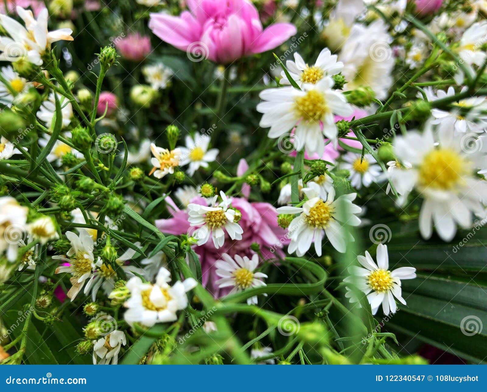 Bouquet of Colorful Assorted Flowers Stock Image - Image of assorted ...