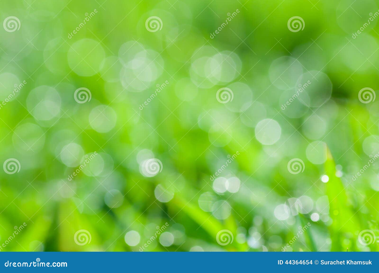 Defocused Abstract Fresh Green Natural Background Stock Photo - Image ...