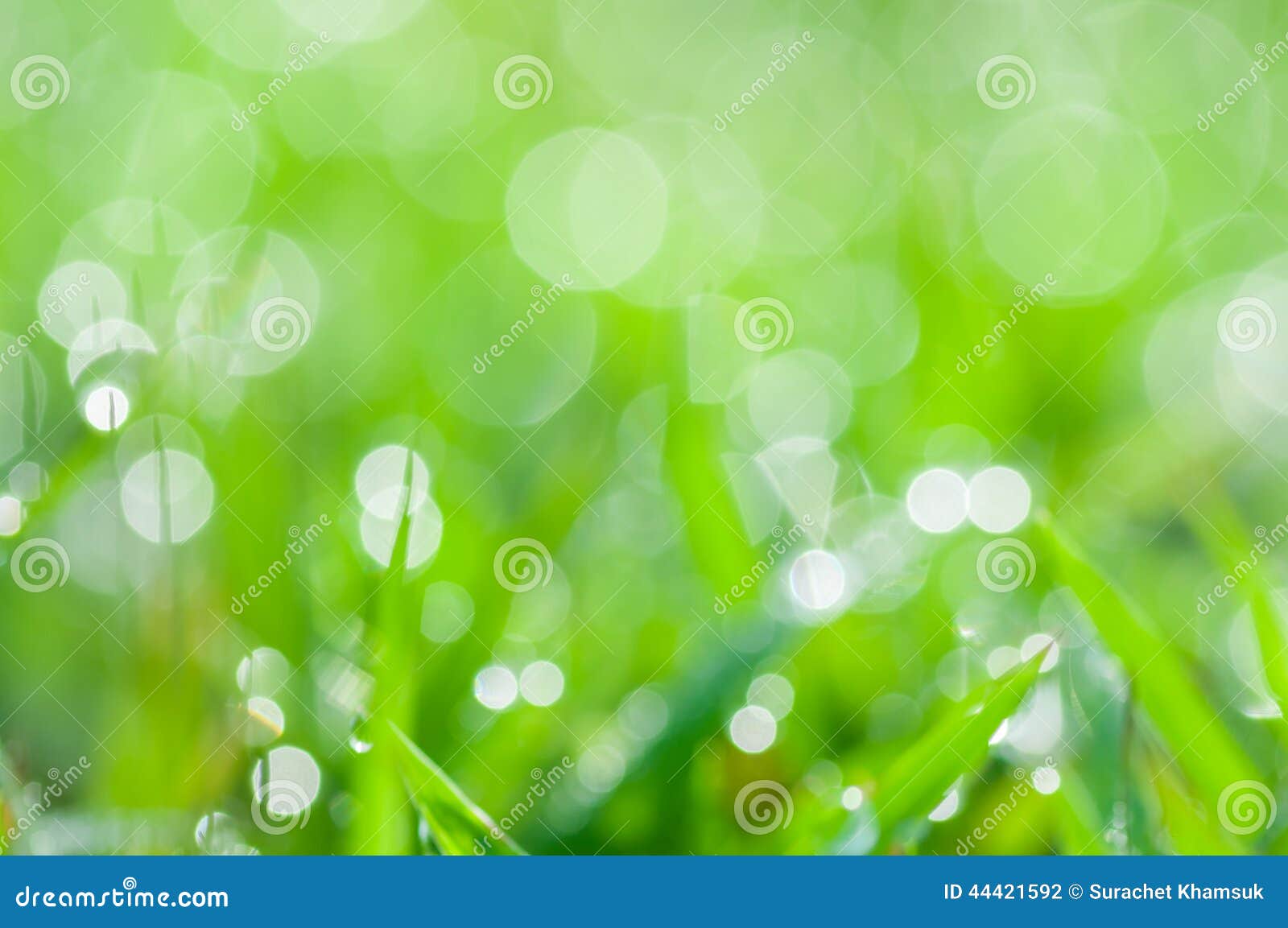 Defocused Abstract Fresh Green Natural Background Stock Photo - Image ...