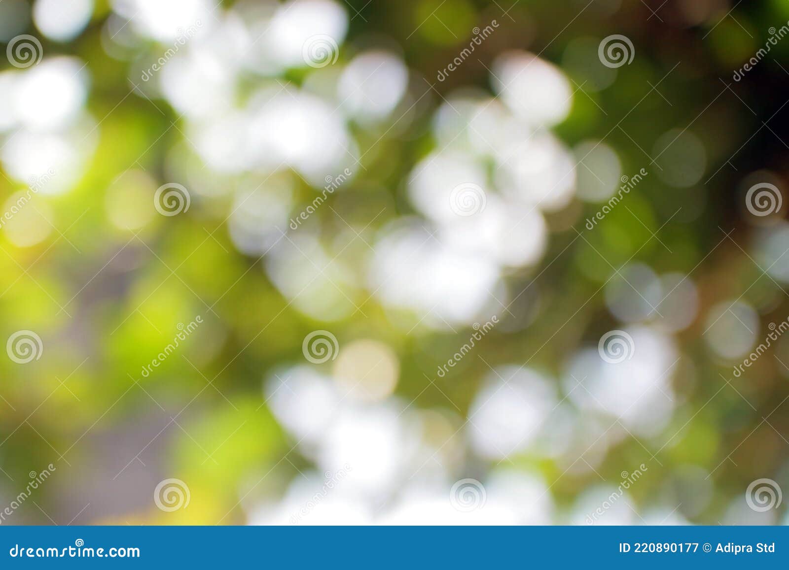 Defocused Background of Green Trees Stock Image - Image of meadow ...