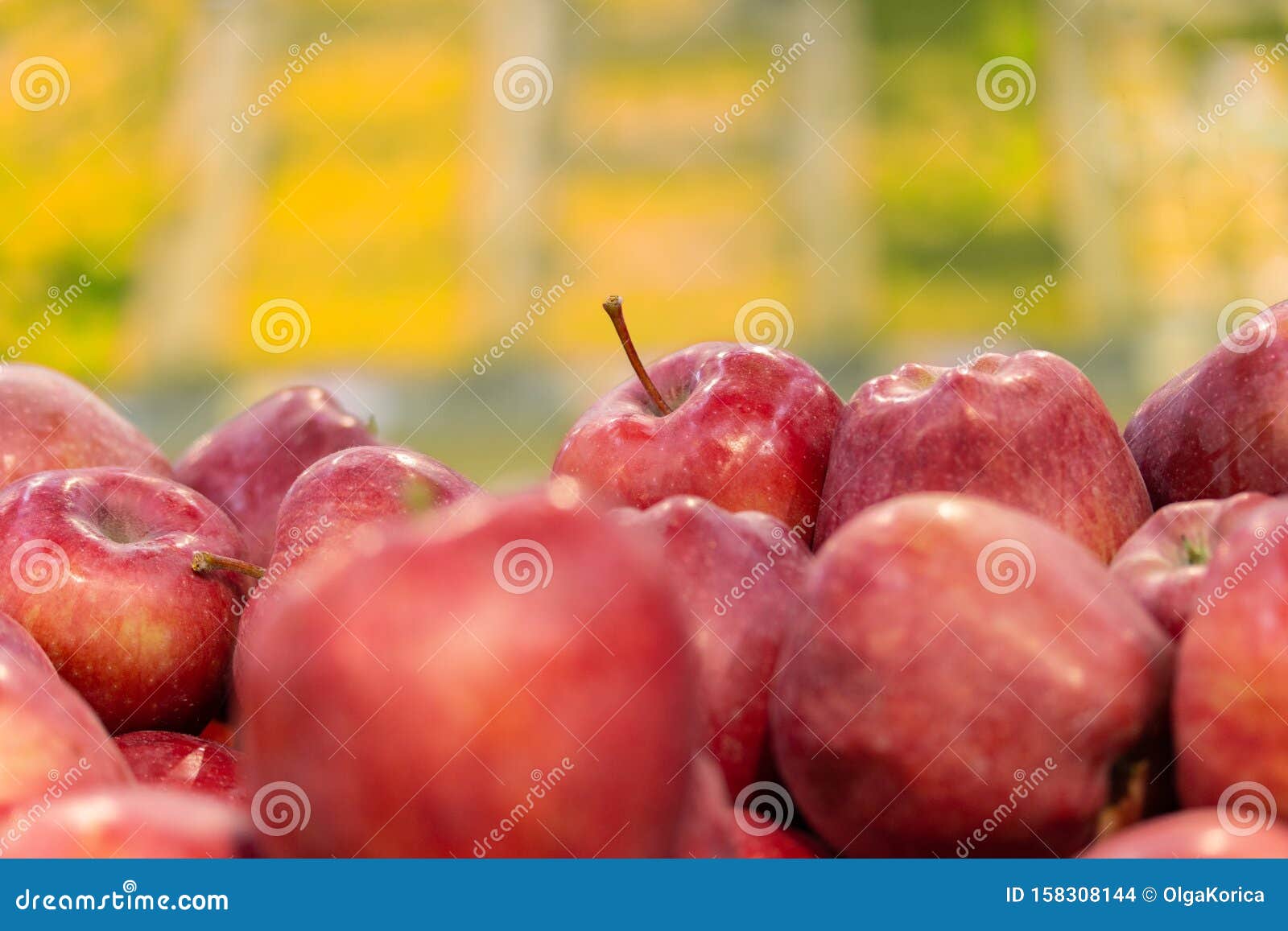 Defocused Background with Red Apples in the Foreground, Horizontal ...
