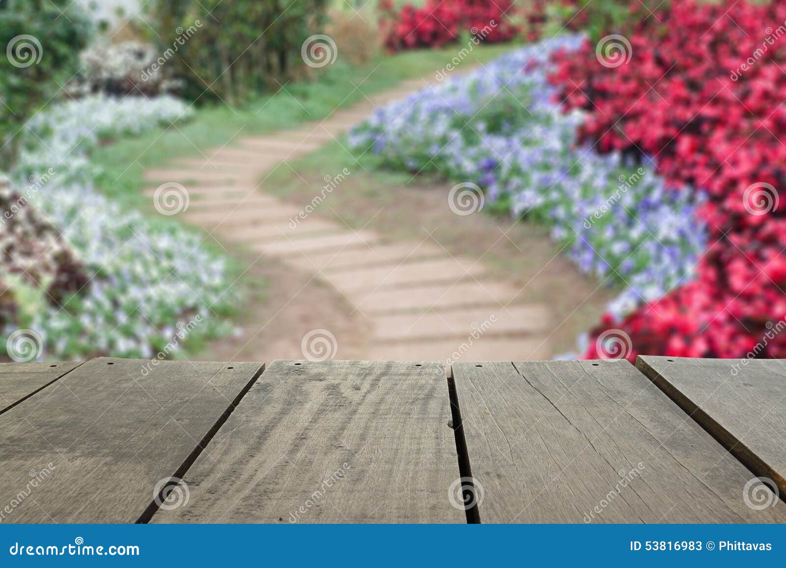 Wood Pathway In The Garden Stock Photo | CartoonDealer.com #63531150