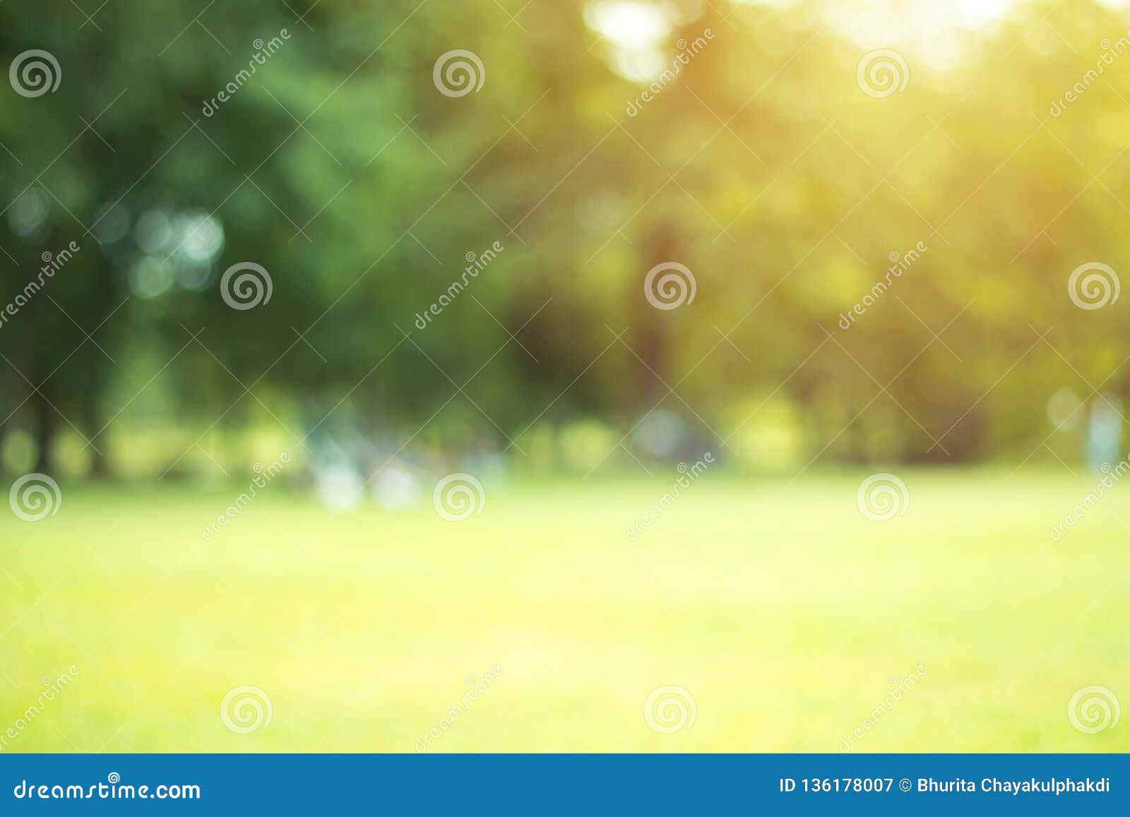 115,875 Sunny Day Backdrop Image Stock Photos - Free & Royalty-Free ...