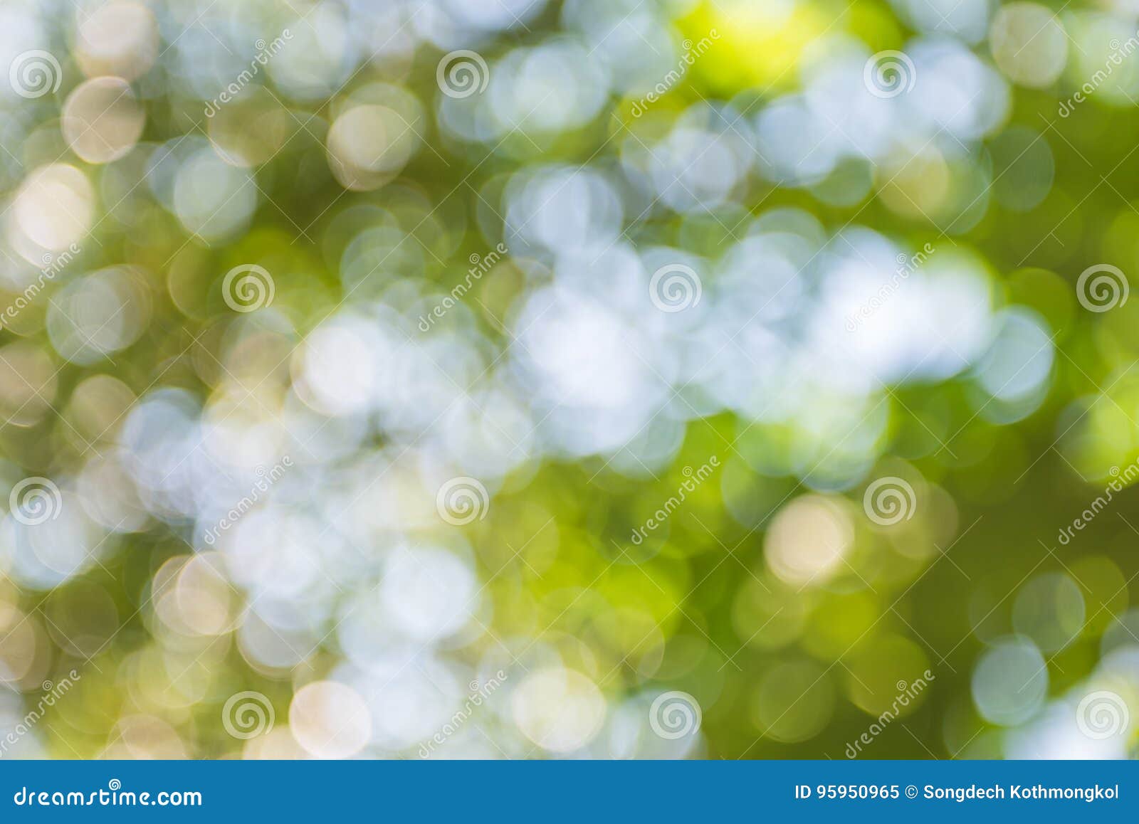 Defocused Green Abstract Background Stock Image - Image of colorful ...