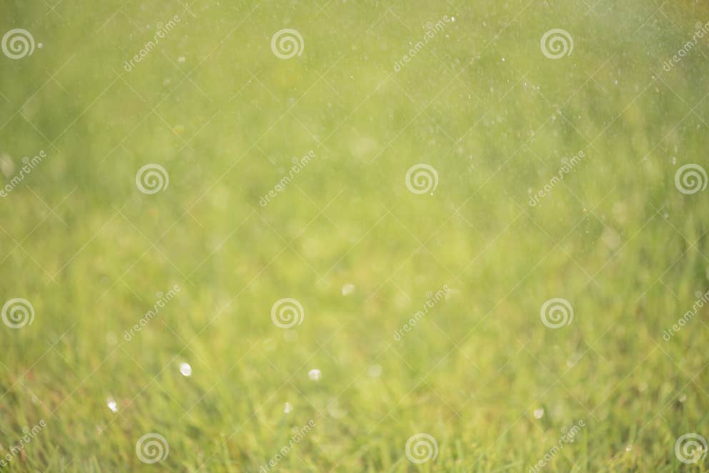 Defocused Photo Of A Lawn With Flying Water Droplets Defocus Light