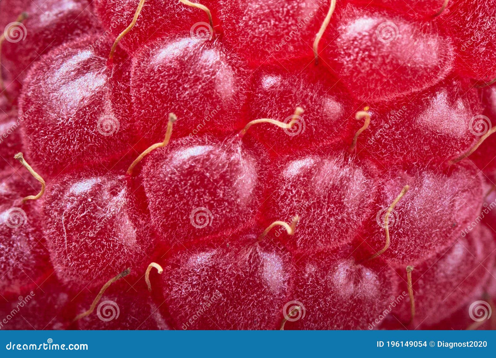 Defocused Raspberries Macro Background Texture. Closeup Top View ...
