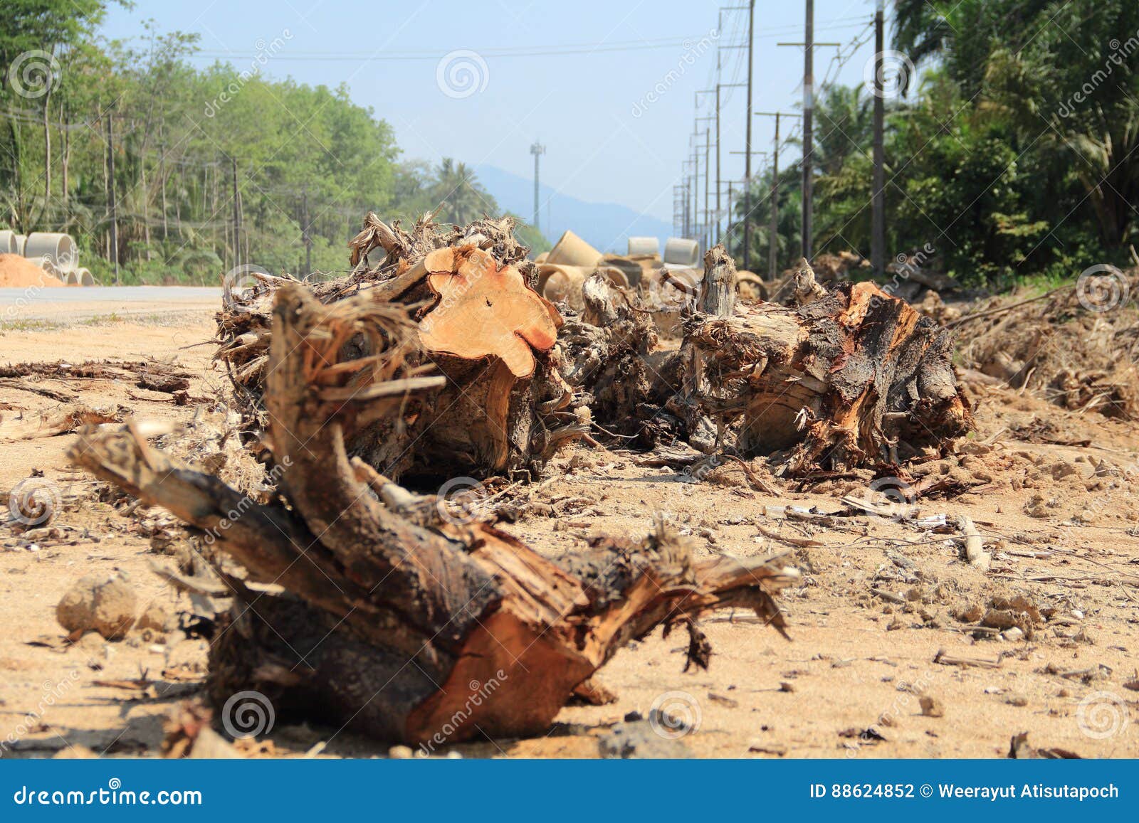 Deforest for Road Construction. Stock Photo - Image of environmental ...