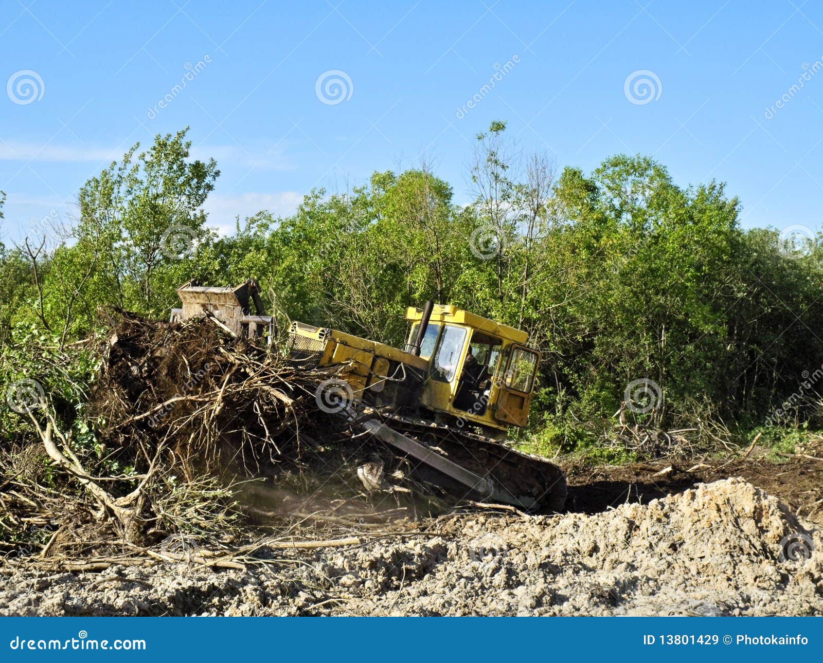 Deforestation stock image. Image of deforestation, desert - 13801429