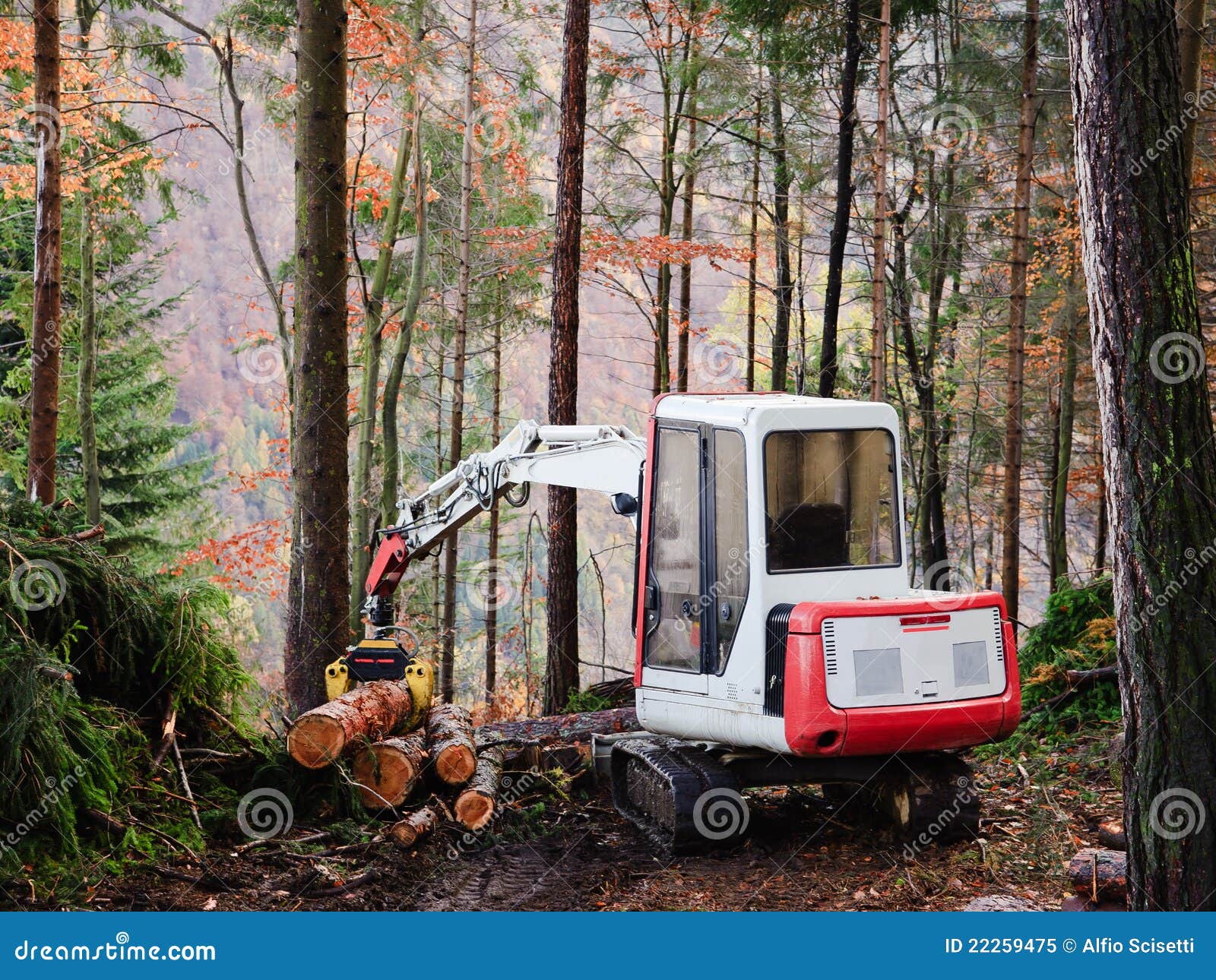 Deforestation stock image. Image of digging, environmental - 22259475