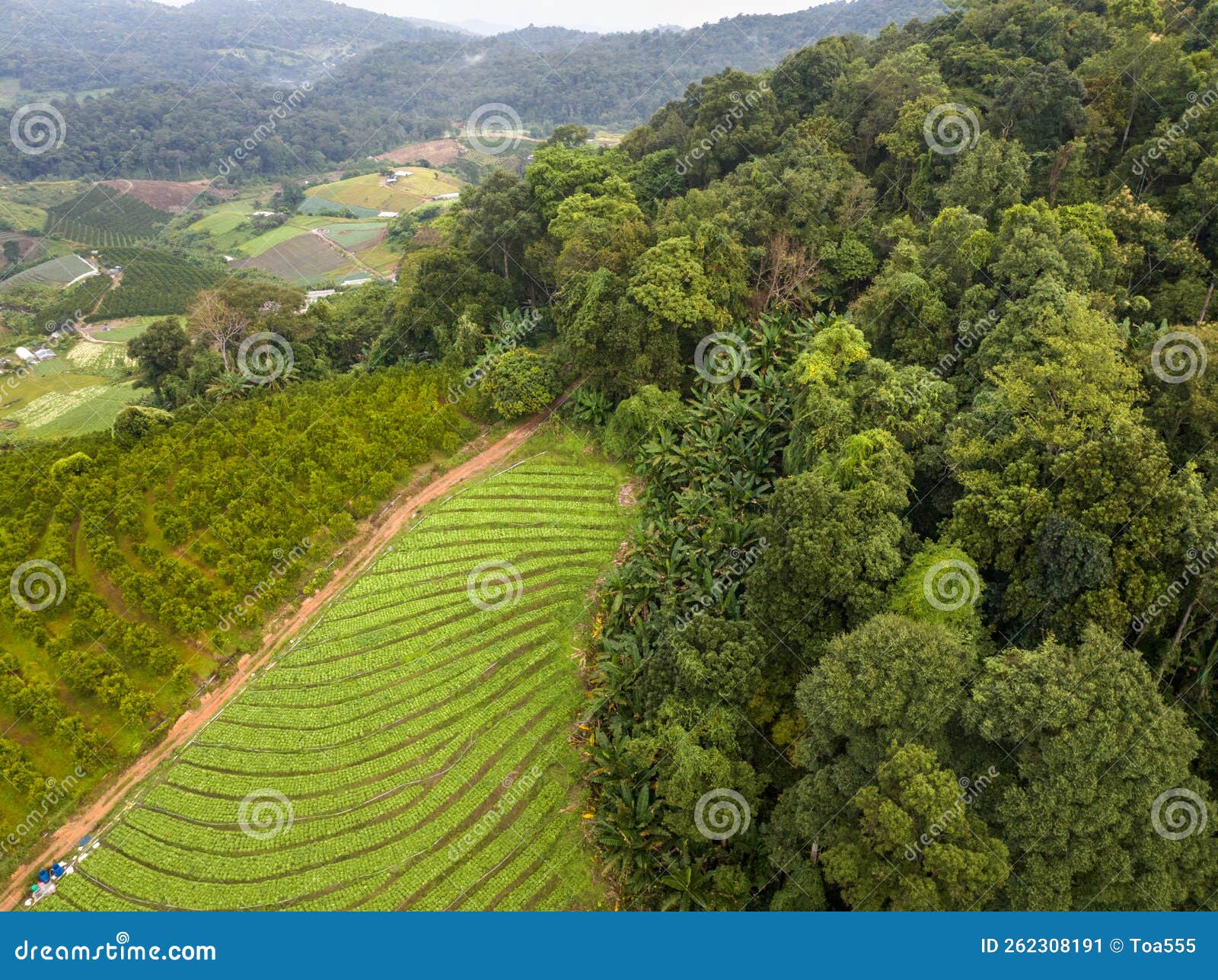 Deforestation are the Anthropogenic Source of Atmospheric Carbon ...