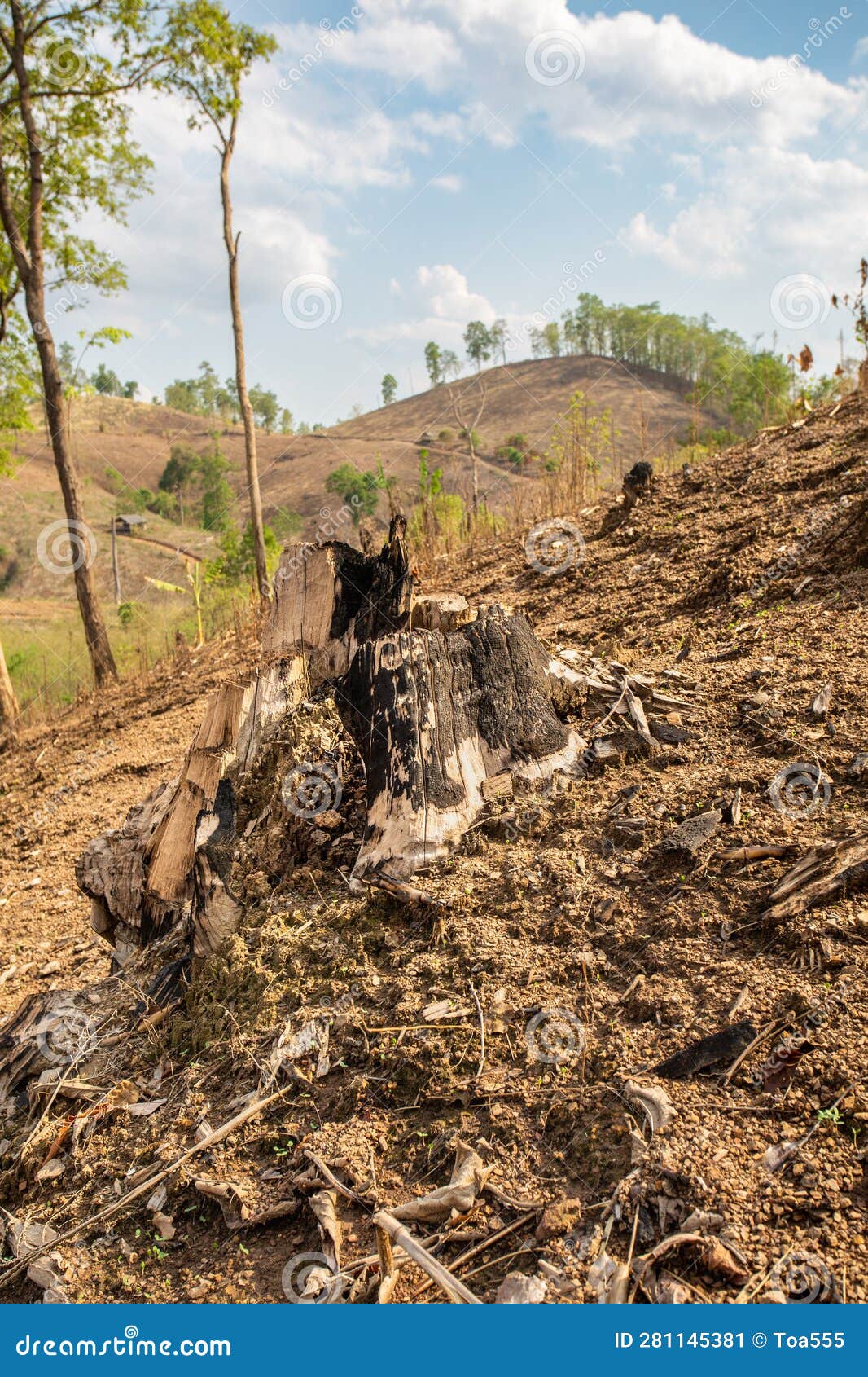 Deforestation are the Anthropogenic Source of Atmospheric Carbon ...