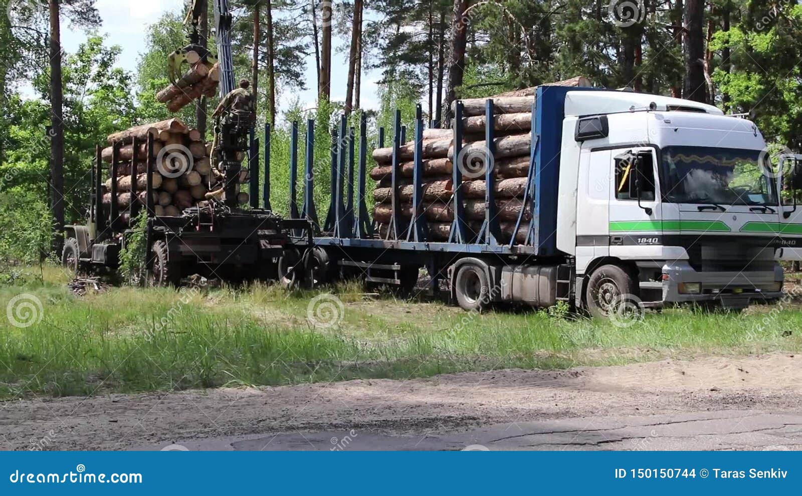 Deforestation and Automated Loading Onto a Truck Vehicle Stock Footage ...