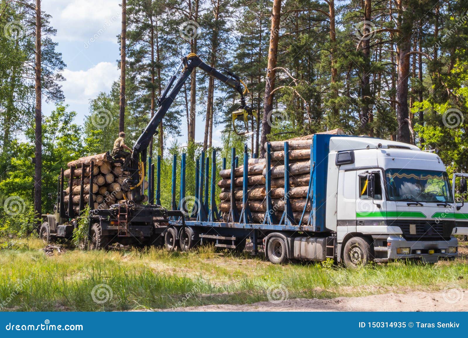 Deforestation and Automated Loading Onto a Truck Vehicle Stock Image ...