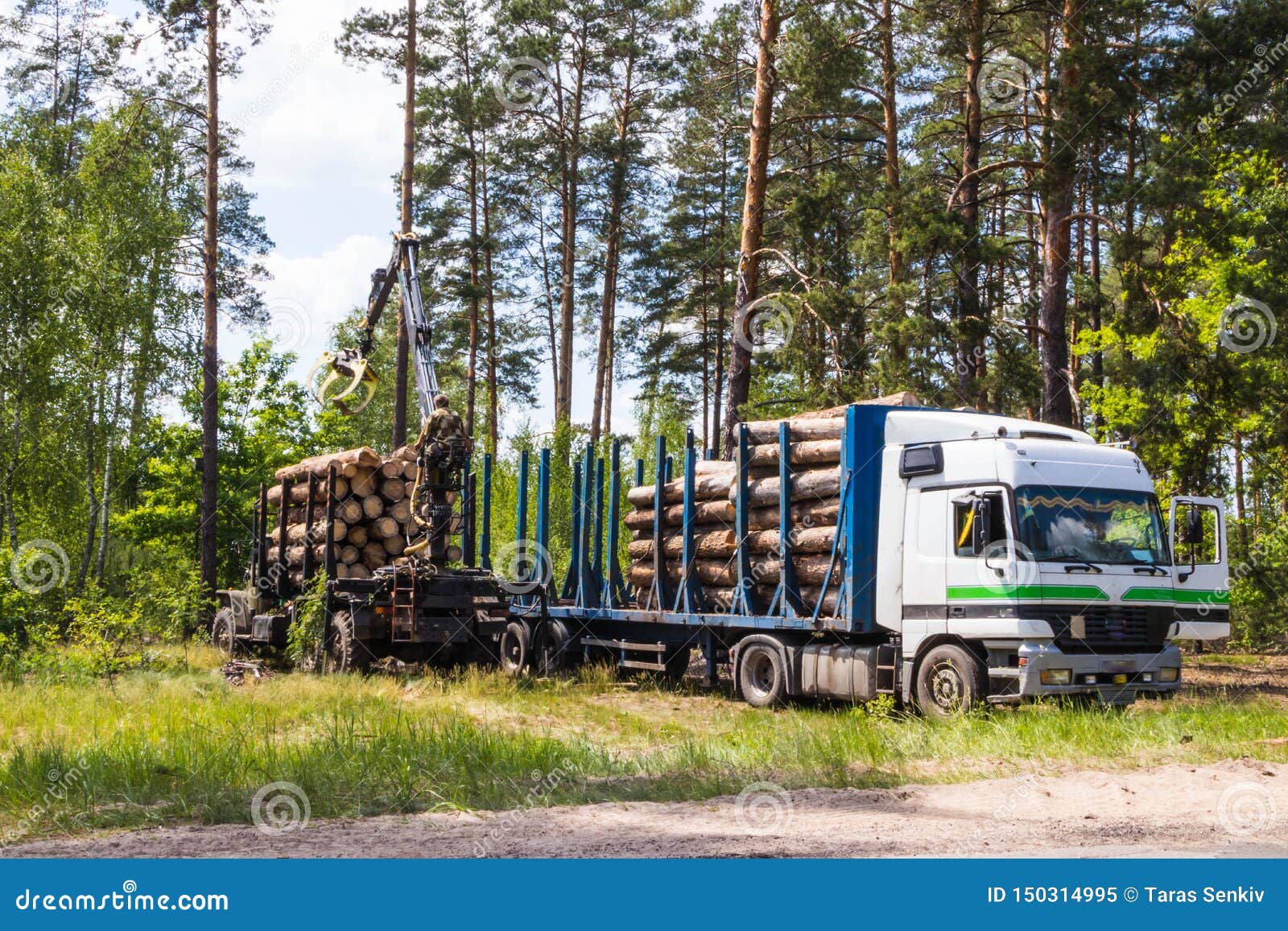 Deforestation and Automated Loading Onto a Truck Vehicle Stock Image ...