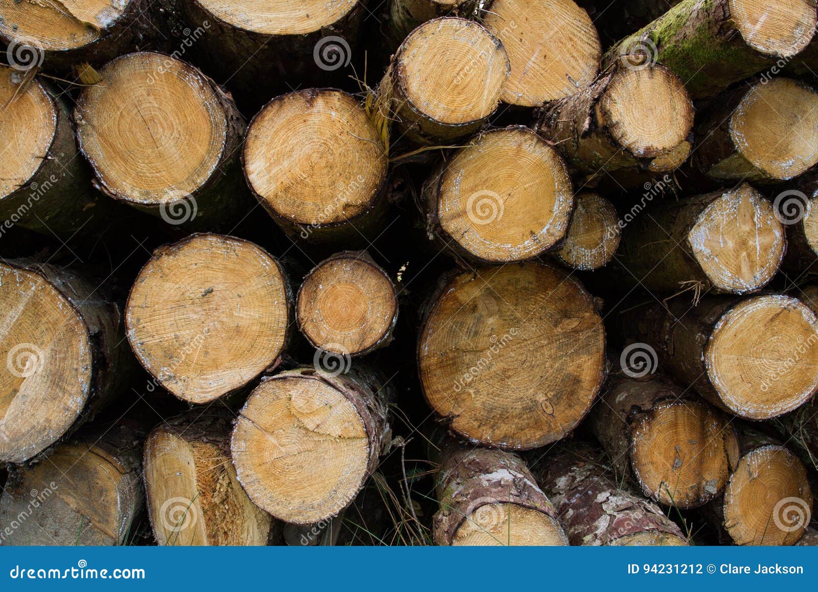 Deforestation Background stock photo. Image of stacked - 94231212