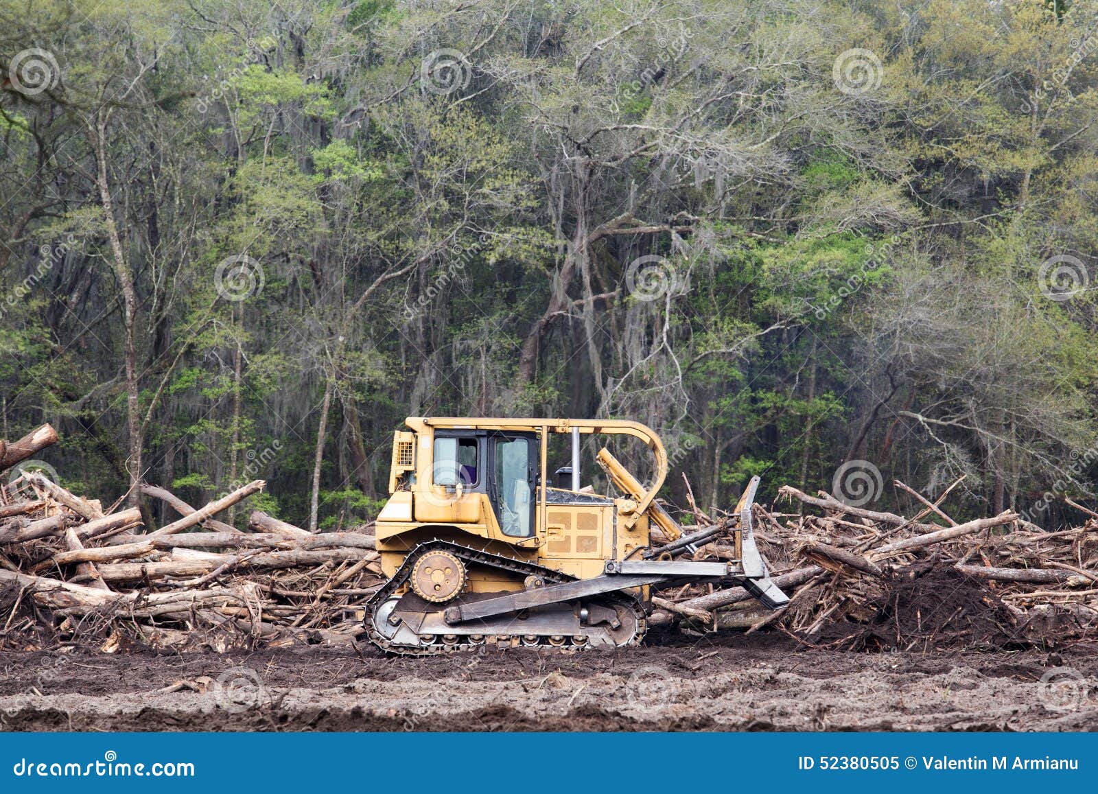 Deforestation stock image. Image of forest, symbolic - 52380505