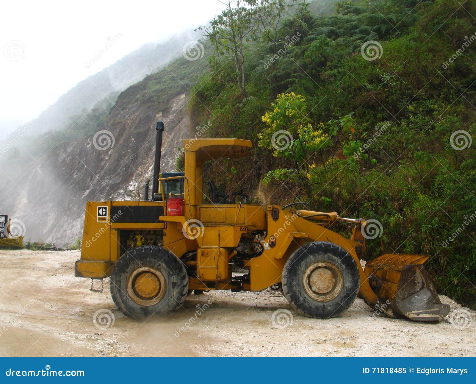 Deforestation editorial image. Image of illegal, bulldozer - 71818485