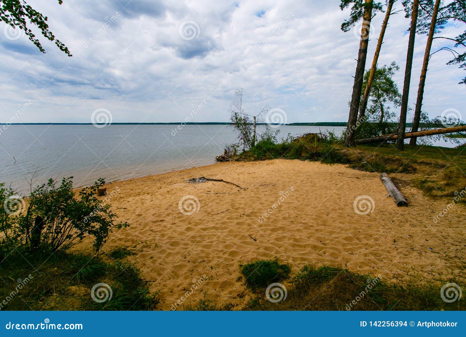 Deforestation Concept. Environmental Changes in Rural Area Stock Photo ...