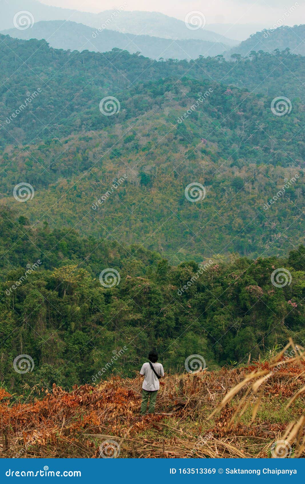 Mountains without Trees and There is only Drought. Editorial Stock ...