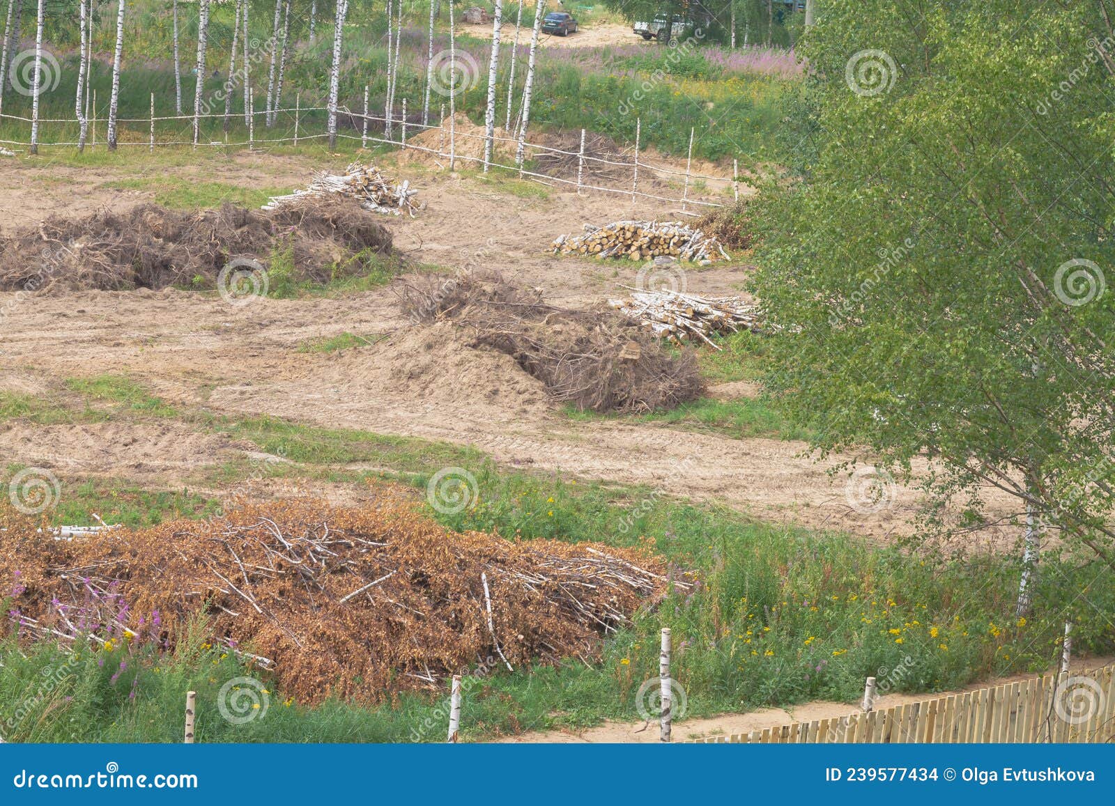 Deforestation and Deforesting for the Construction of a House on a ...