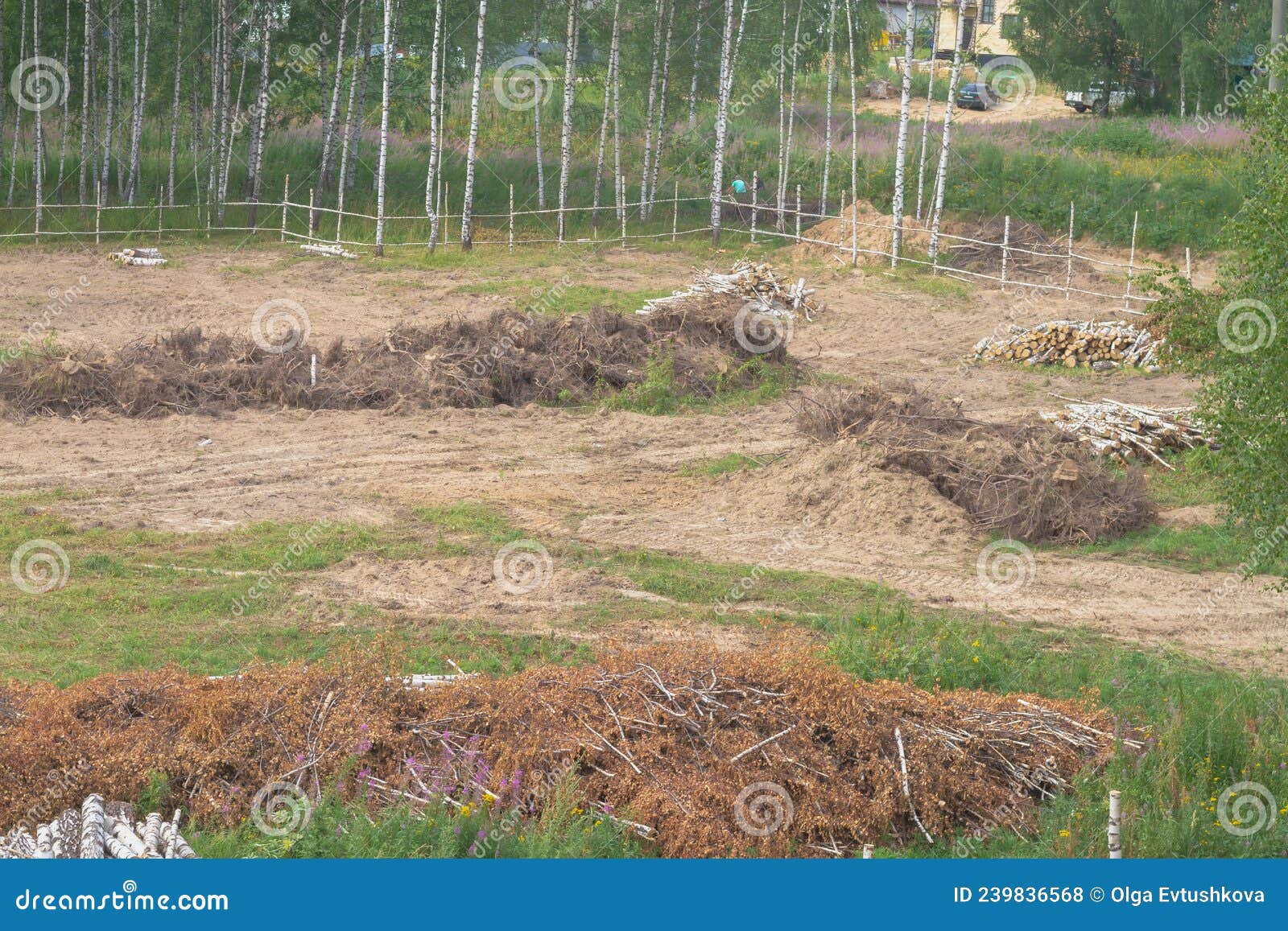 Deforestation and Deforesting for the Construction of a House on a ...