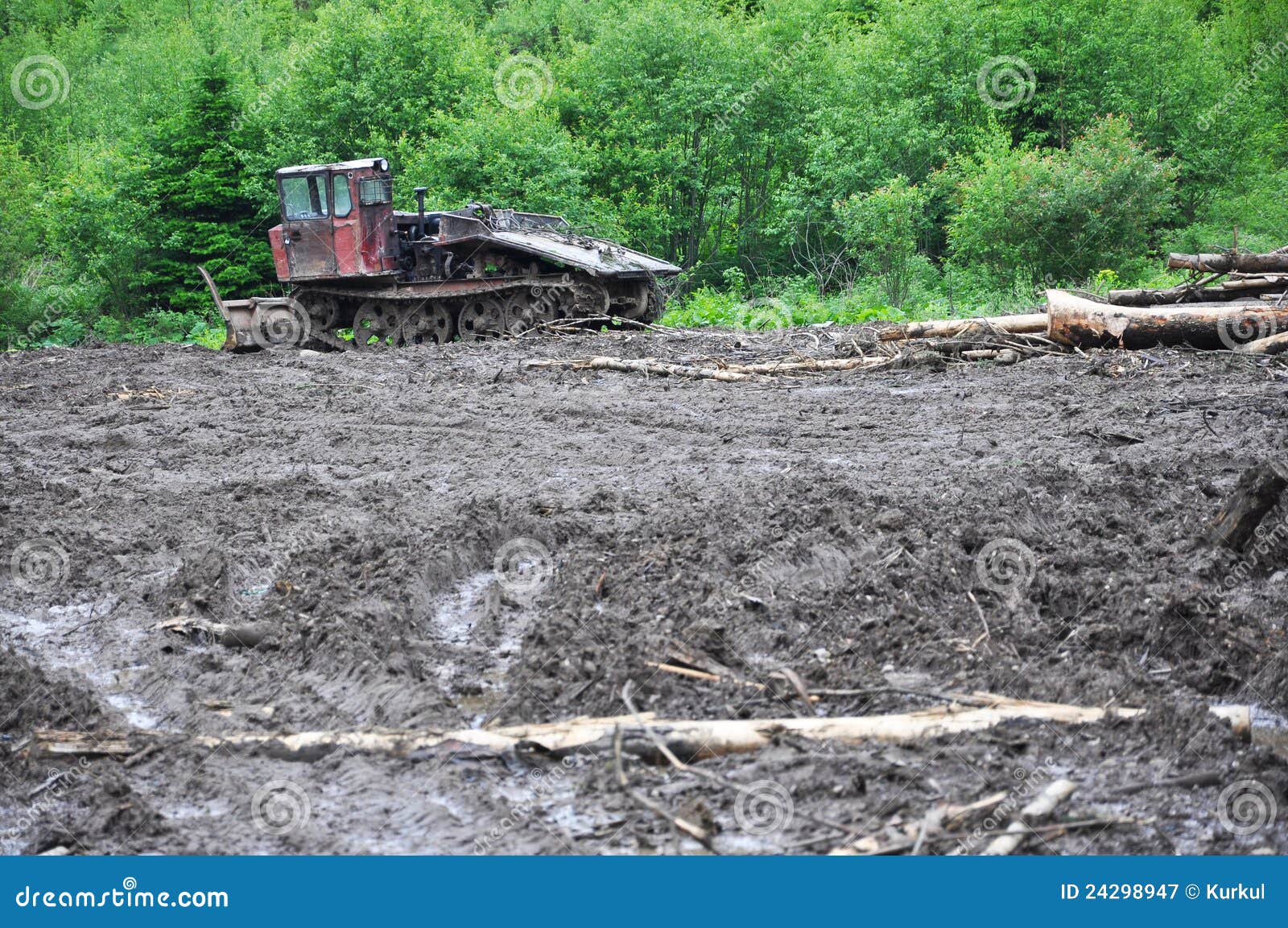 Deforestation disaster stock image. Image of death, disaster - 24298947