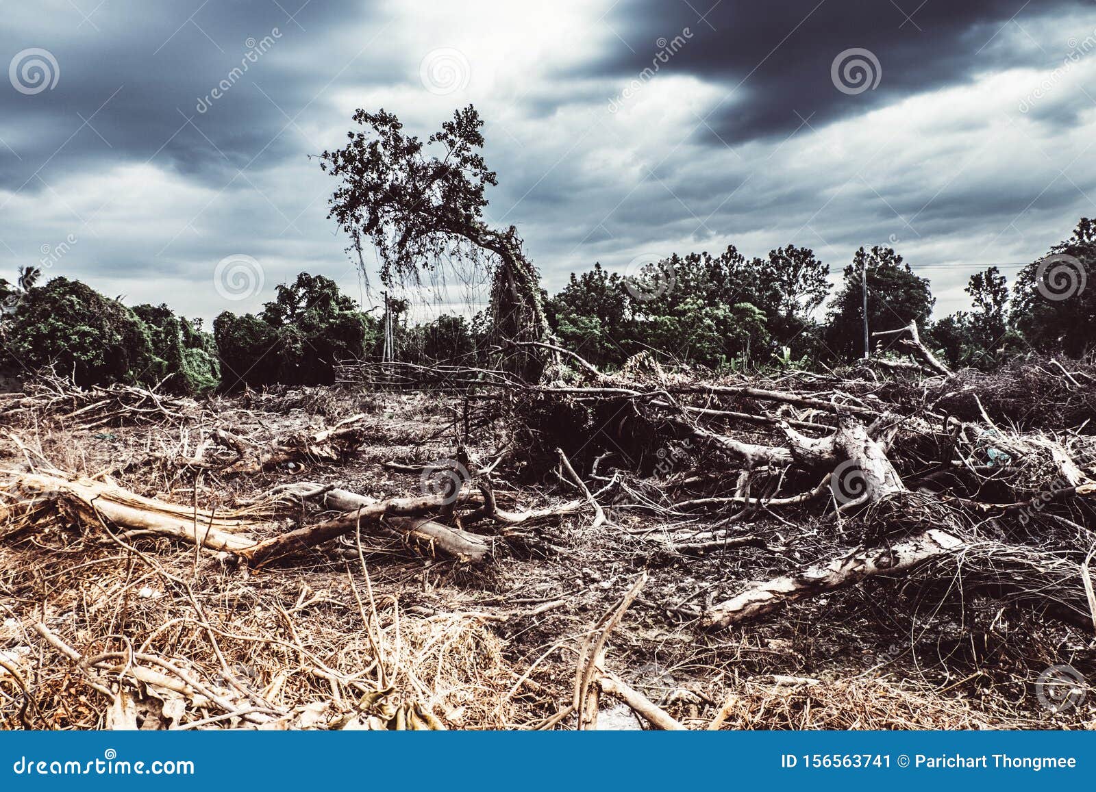 Destroyed Environment