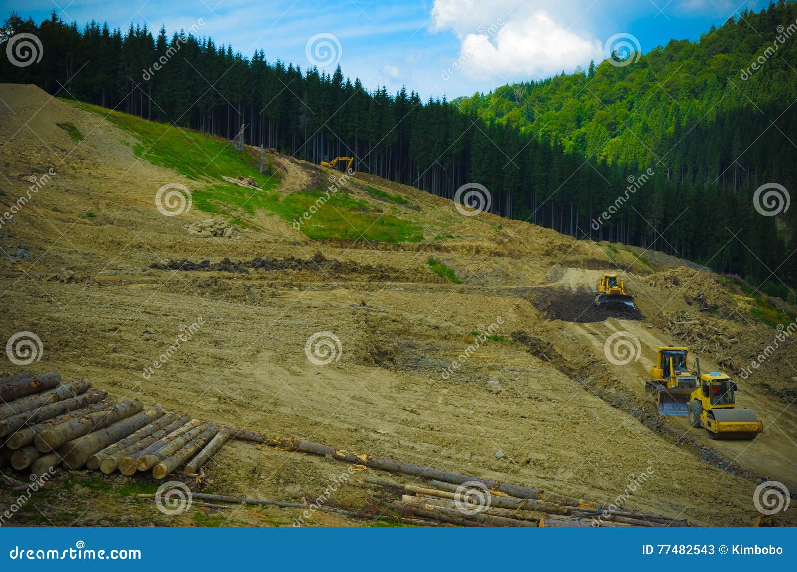 Deforestation Environmental Problem, Forest Destroyed for Building ...