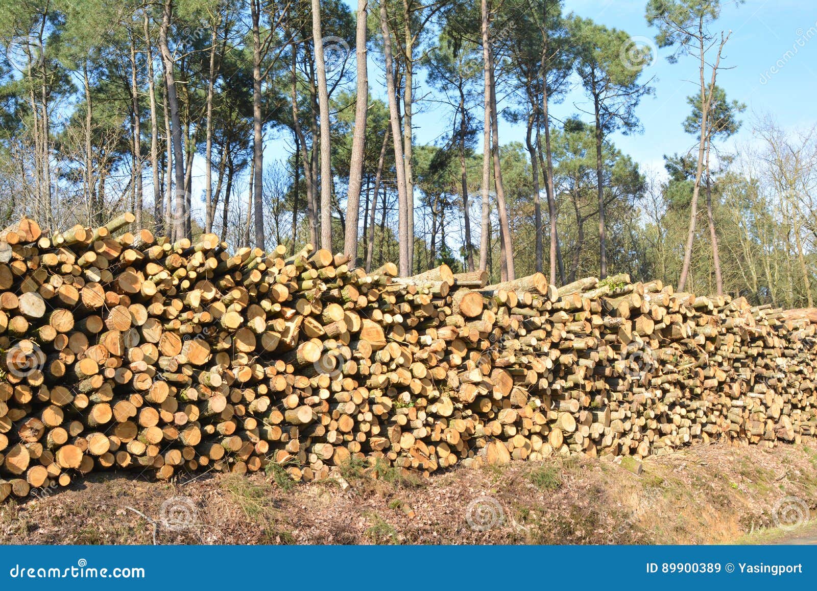 Deforestation Environmental Problem Stock Image - Image of mountain ...