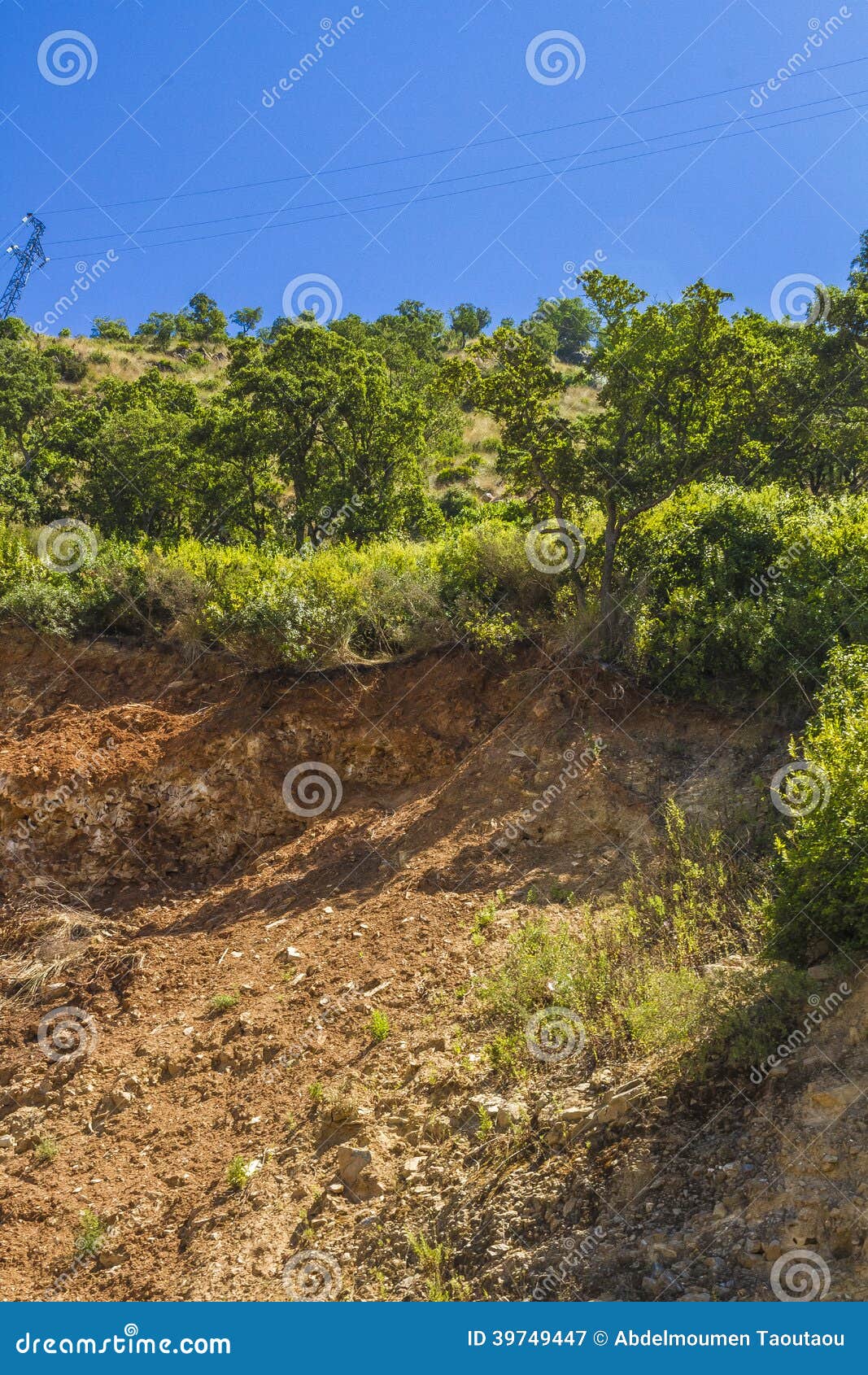 Soil Erosion Deforestation