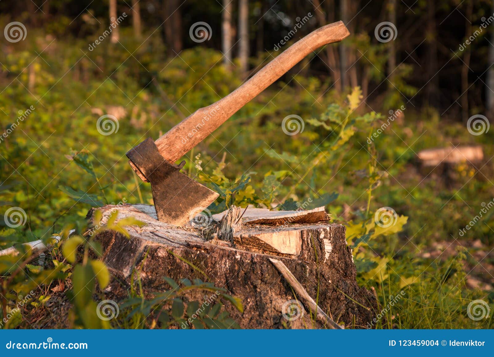 Axe in stump stock photo. Image of grass, green, destruction - 123459004