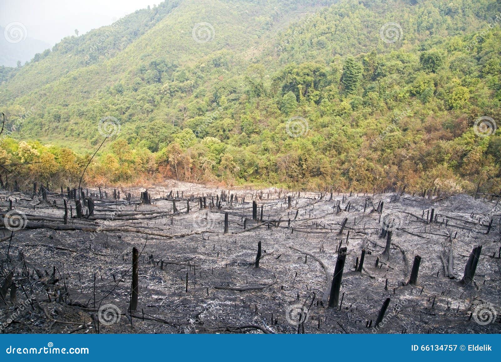 Deforestation, After Forest Fire, Natural Disaster, Laos Royalty-Free ...