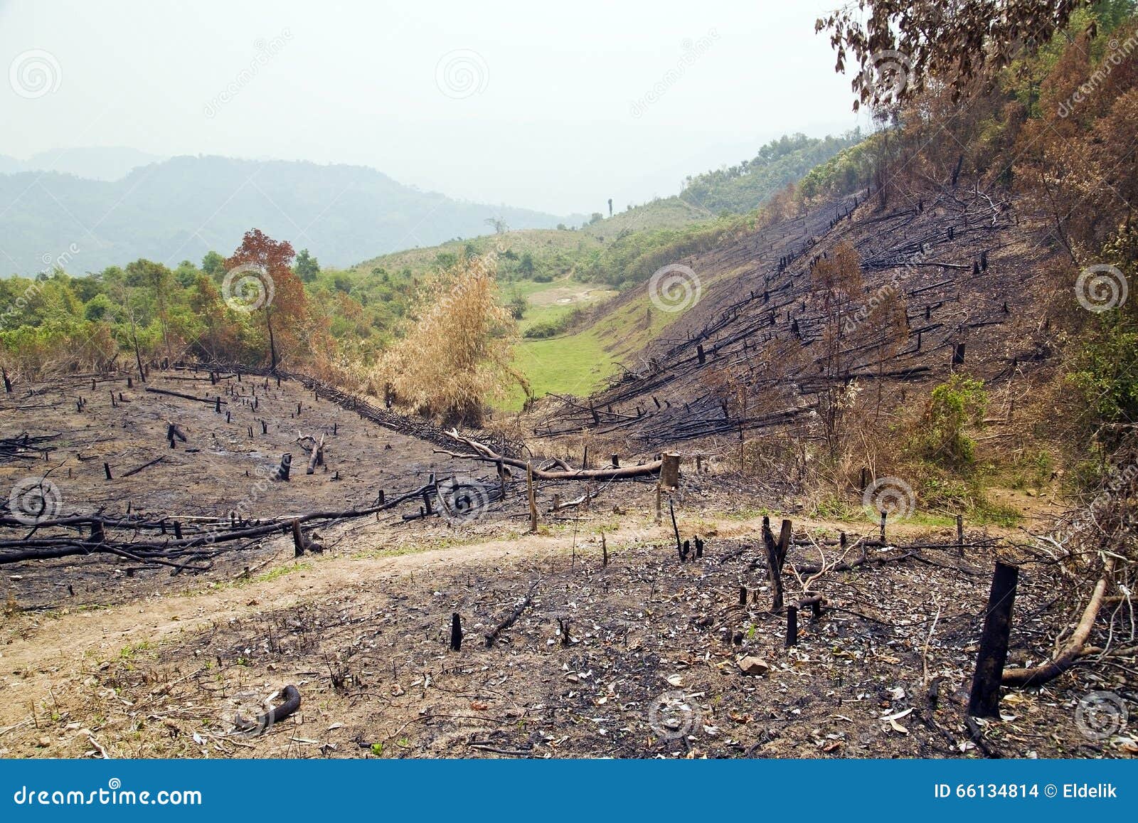 Deforestation, after Forest Fire, Natural Disaster, Laos Stock Photo ...